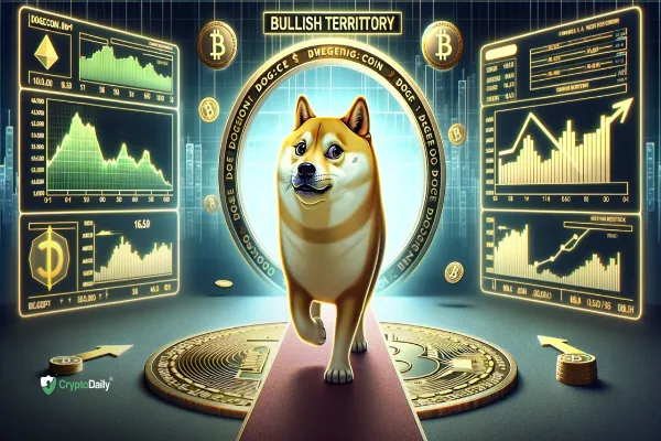 Unveiling the Dogecoin Investment Blueprint: A Comprehensive Guide to ...