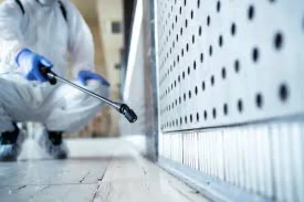 How Fullerton Experts Handle Cockroach Control from Start to Finish ...