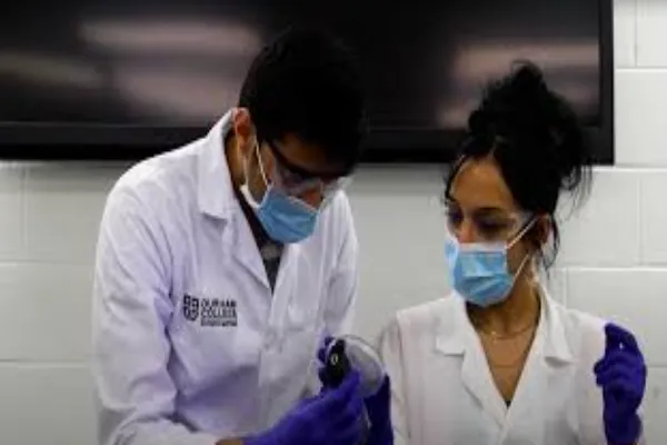 Plan a Fast Track Into Entry-Level Biotech Online | Www ...